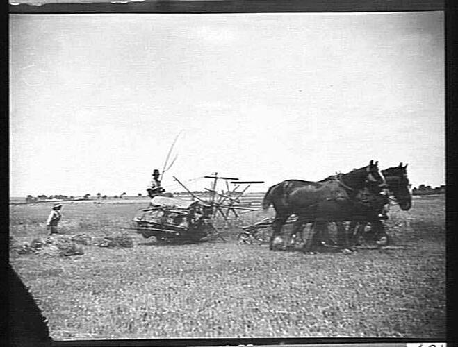 Photograph - H.V. McKay Pty Ltd, Farm Equipment Manufacture & Field ...