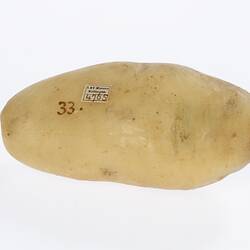 Potato Model - Fluke, Victoria, circa 1946