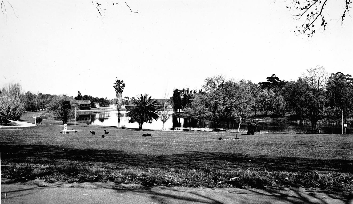 Negative - Adelaide, South Australia, circa 1935