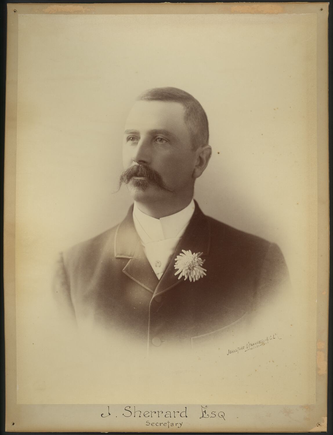Photograph - James Sherrard, by Johnstone O'Shannessy & Company ...