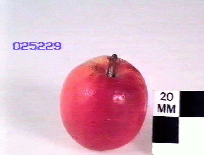 Apple Model - King Cole, 1962