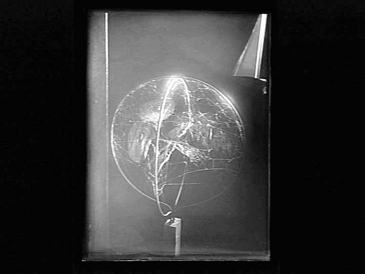 Glass Negative - Spider Web, by A.J. Campbell, Australia, circa 1900