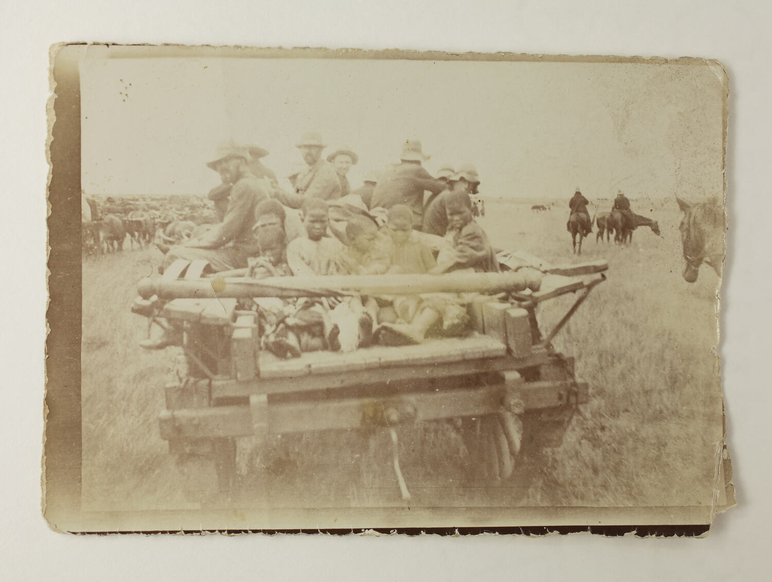 Photograph - Boer Prisoners, Klerksdorp, South Africa, circa 1902