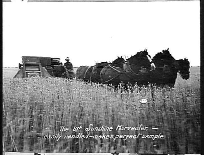 Photograph - H.V. McKay Pty Ltd, Farm Equipment Manufacture & Field ...