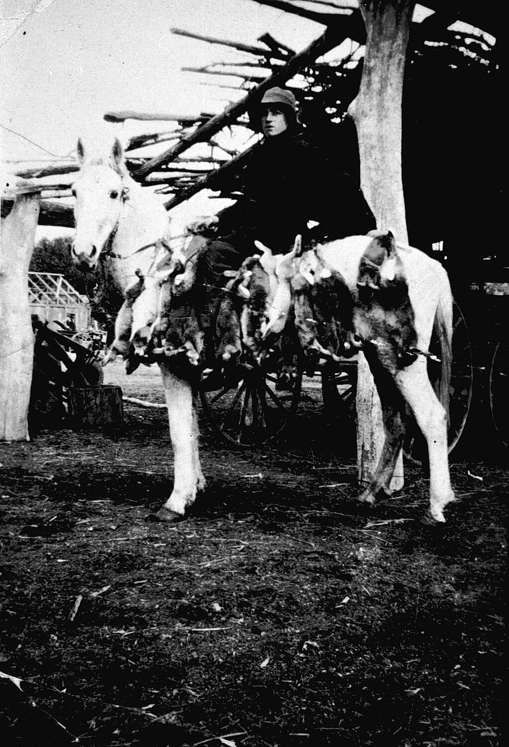 Negative - Goroke District, Victoria, circa 1930