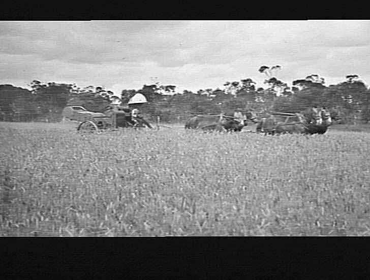 Photograph - H.V. McKay, Farm Equipment Manufacture & Field Trials ...