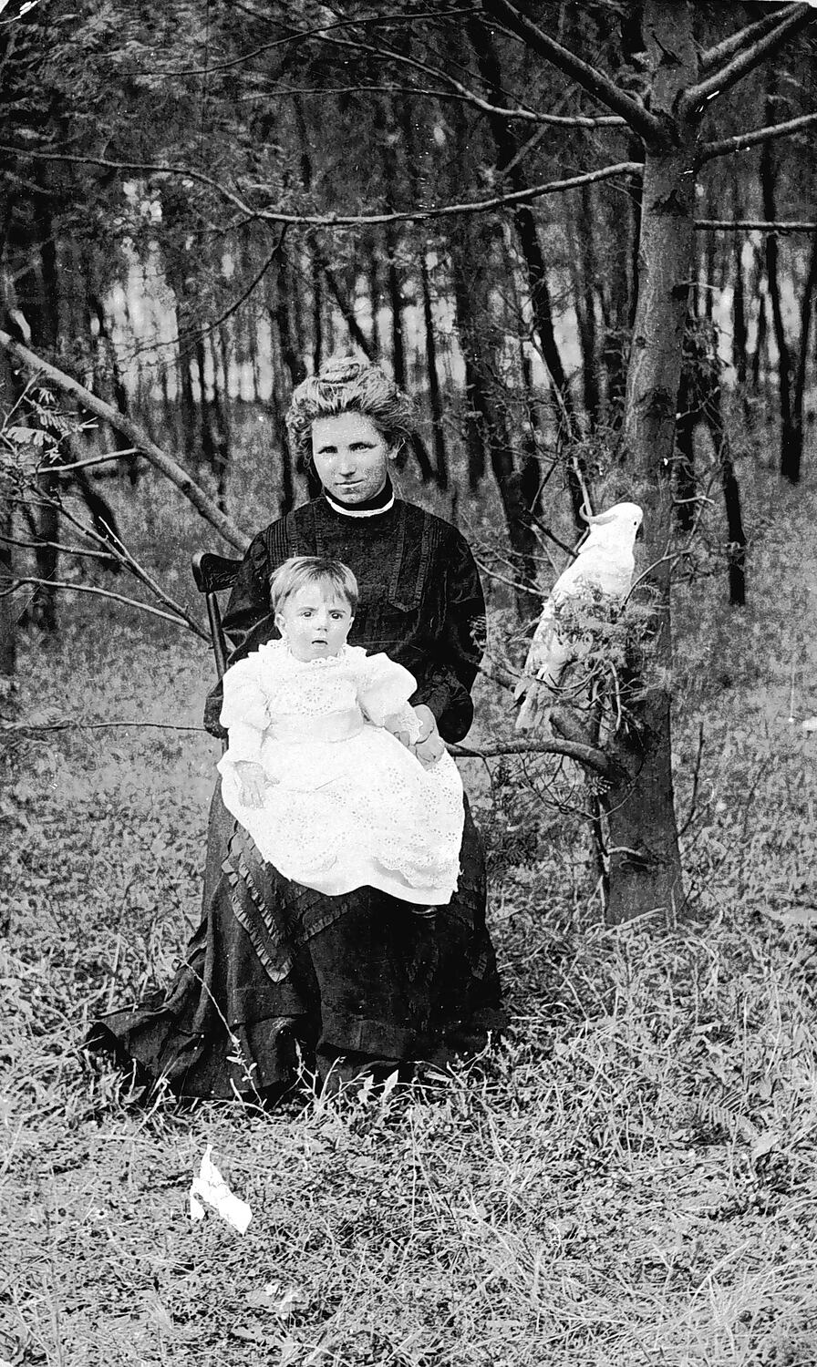Negative - Redcastle, Victoria, 1910