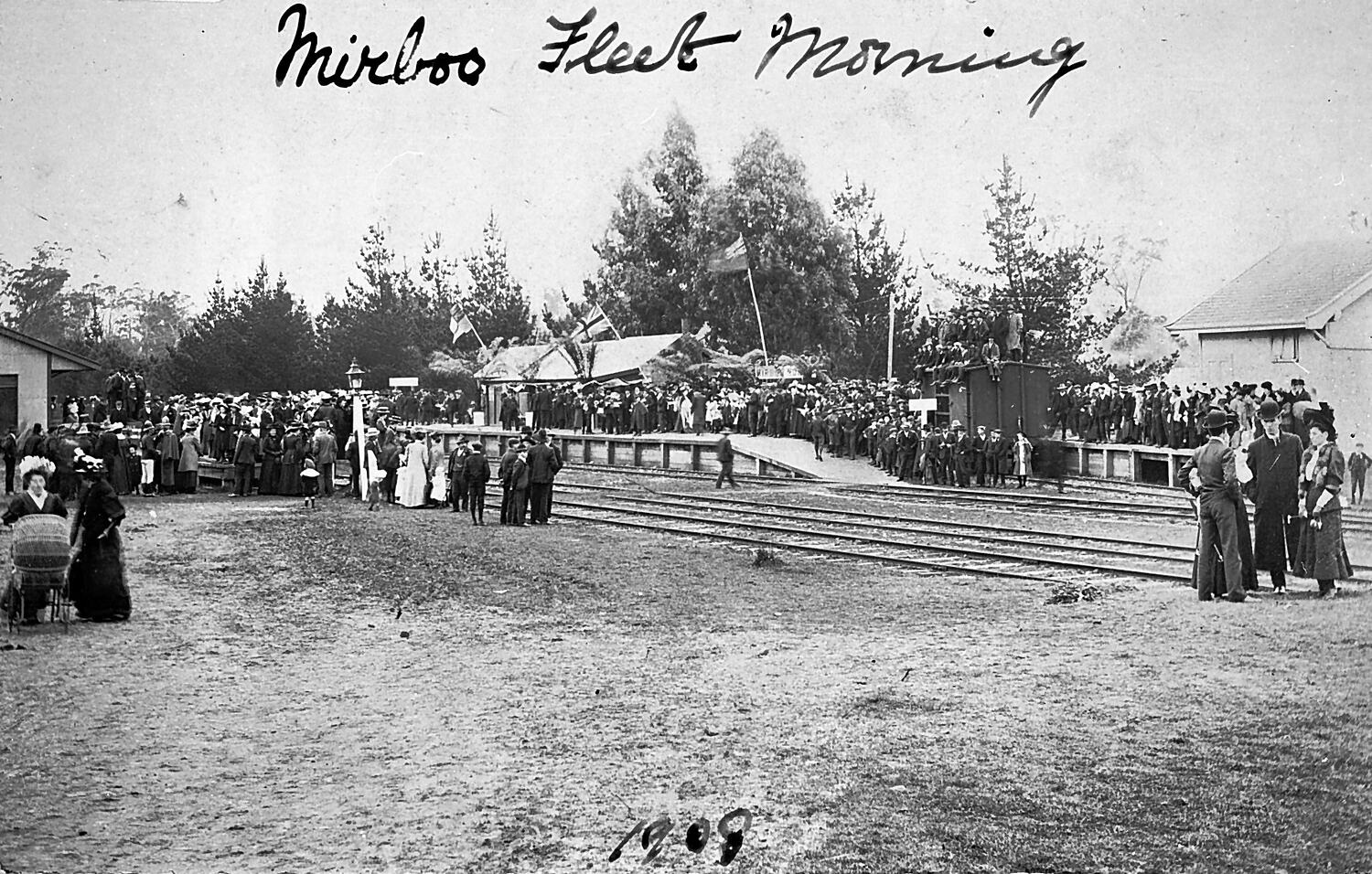 Negative - Mirboo North, Victoria, 1908