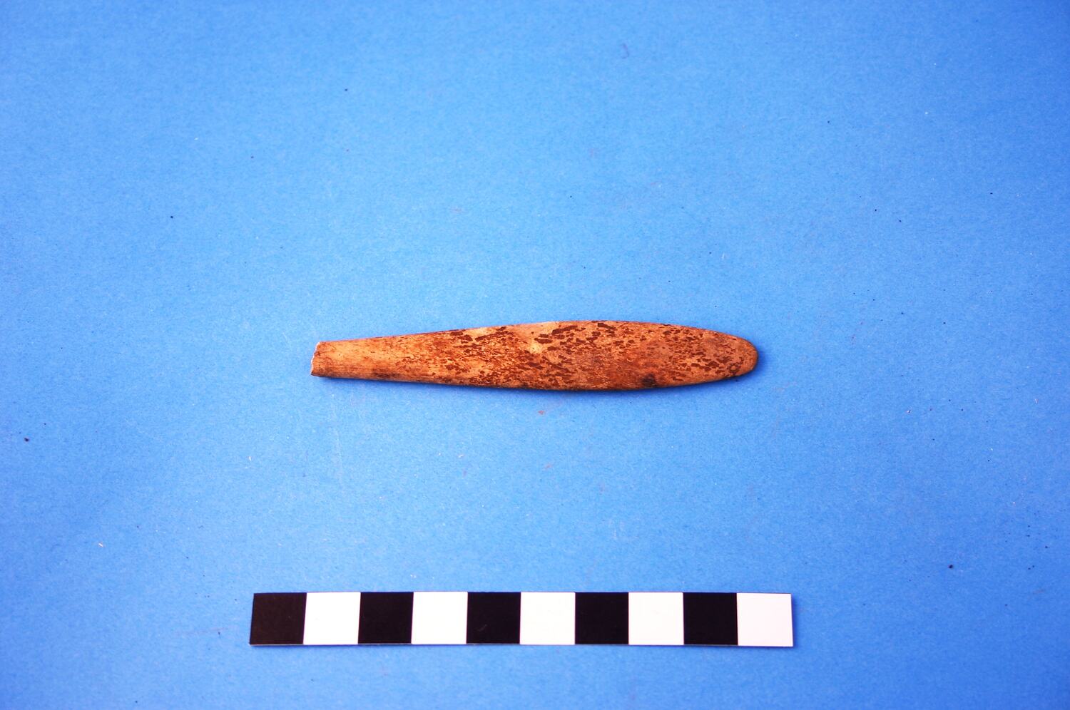 Toothbrush - Handle, Bone