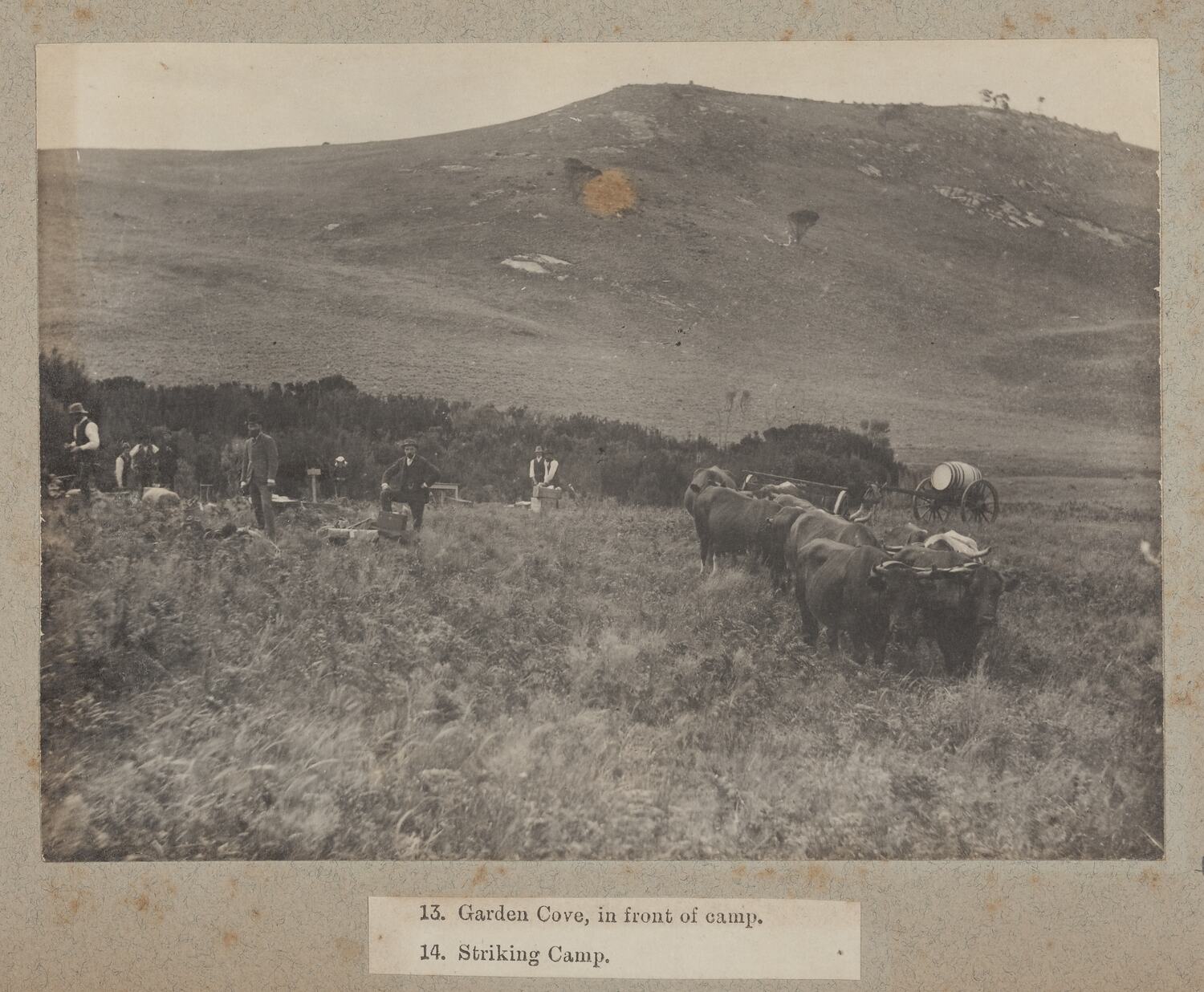 Photograph - Field Naturalists' Club of Victoria Scientific Expedition ...