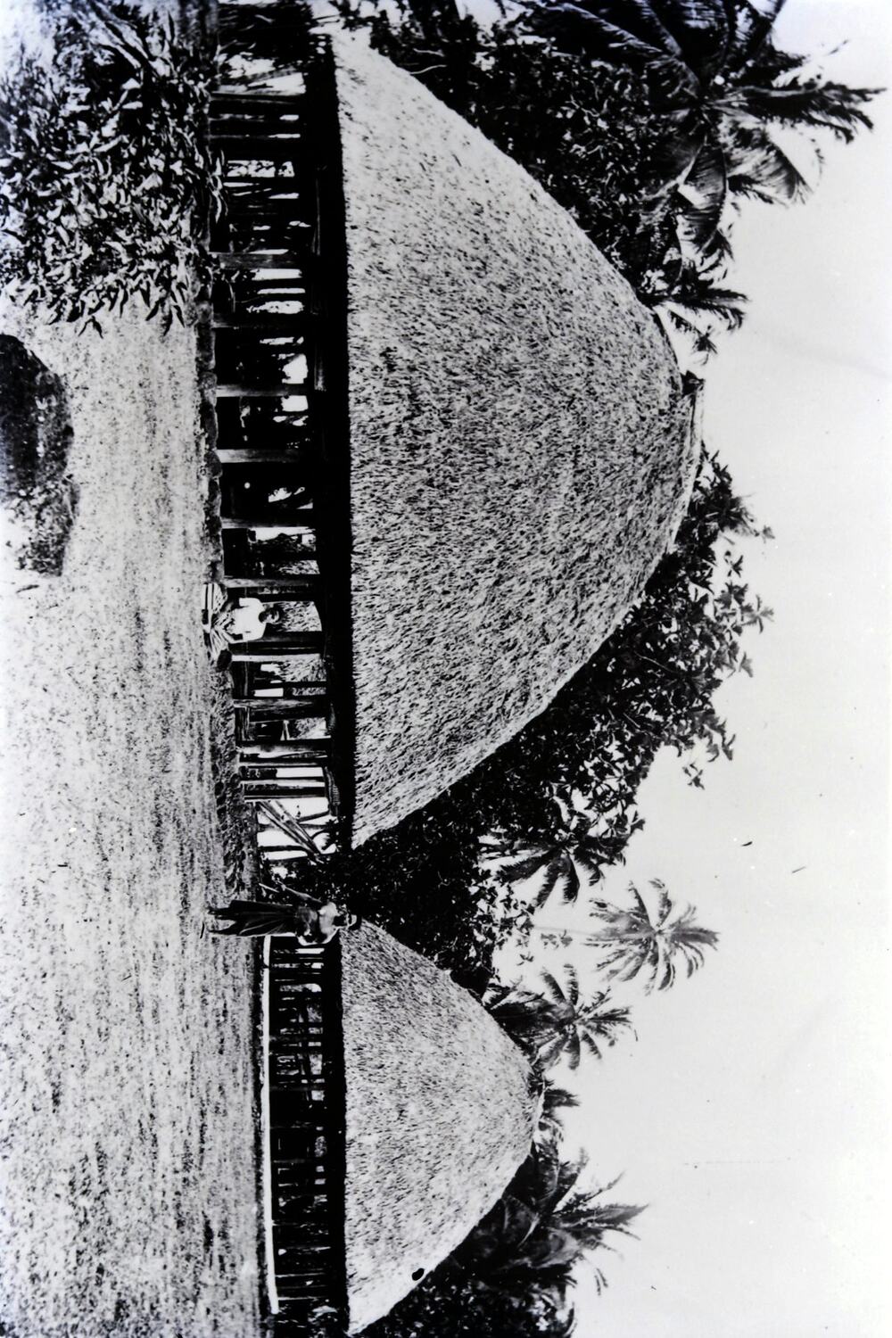 Negative - Two Thatched Buildings, Pacific Islands, circa 1930s