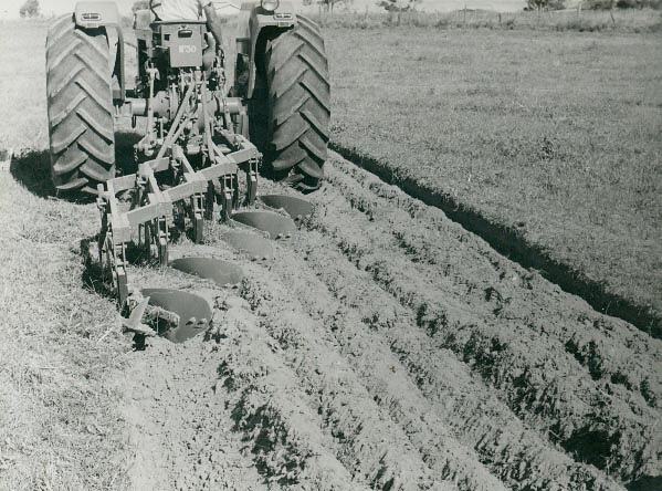 Photograph - Massey Ferguson, MF66 Mouldboard Plough, 1966