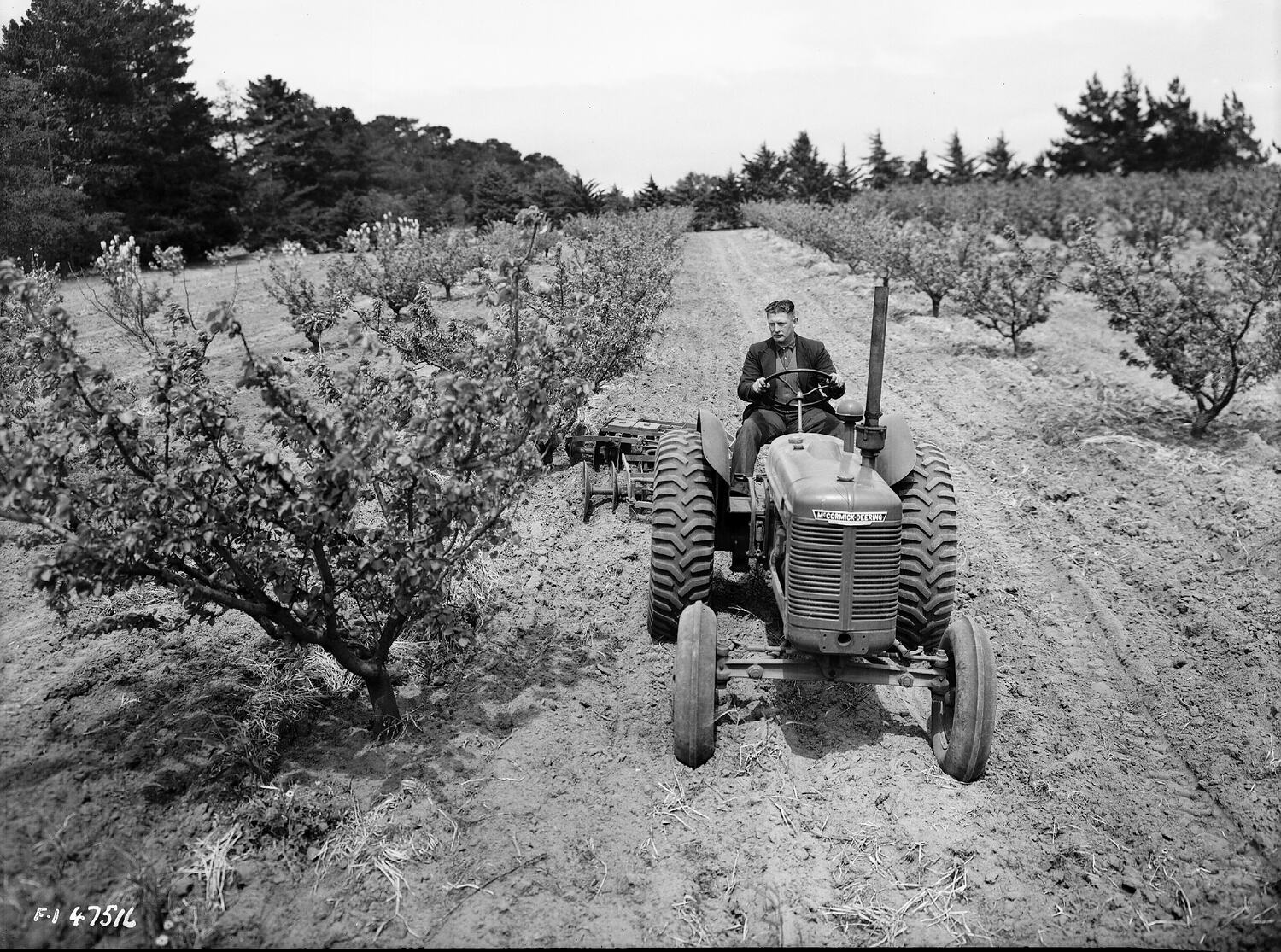 Negative - International Harvester, GL-15 Offset Disc Harrow & W-4 ...