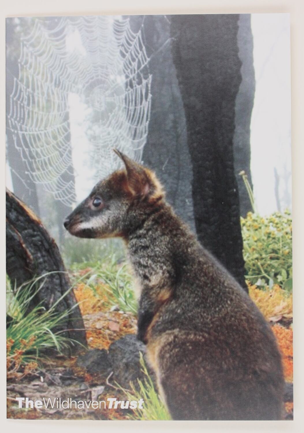 Gift Card - Alice, 'Wildhaven', Black Saturday Bushfires, St Andrews ...