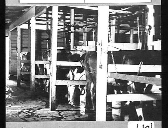 Photograph - H.V. McKay Massey Harris, Farm Equipment Manufacture ...