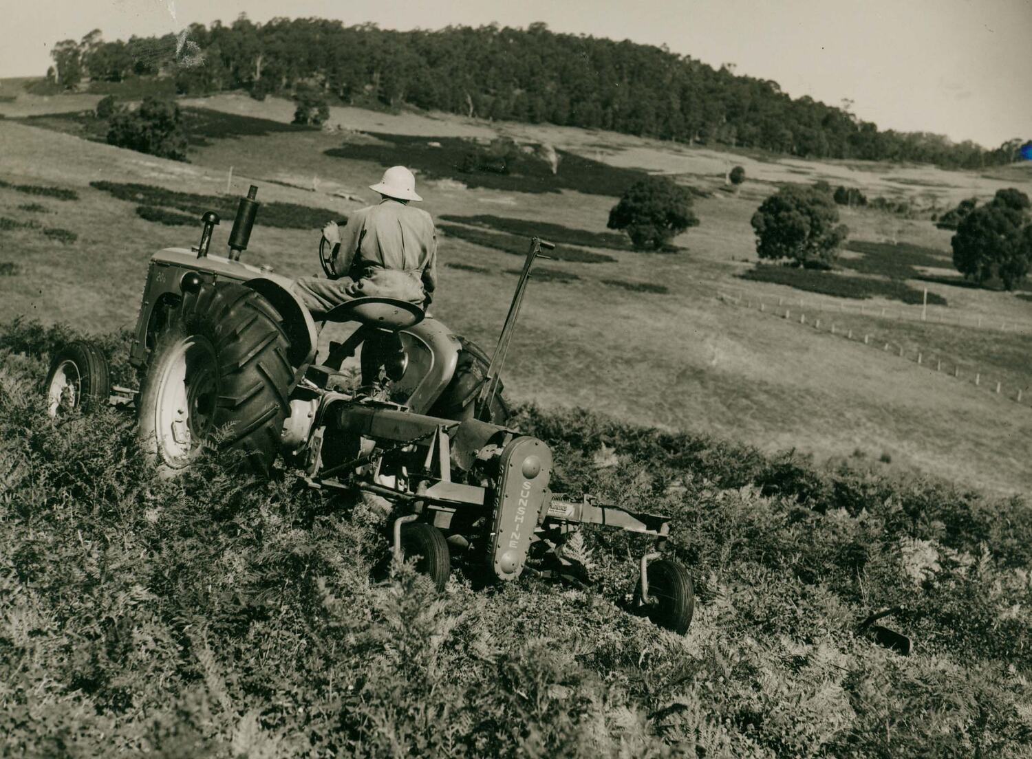 Photograph - Sunshine Massey Harris, PTO Mower & Tractor, Strathbogie ...