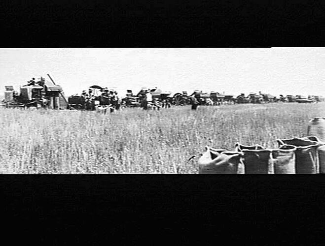 Photograph - H.V. McKay Massey Harris, Farm Equipment Manufacture ...