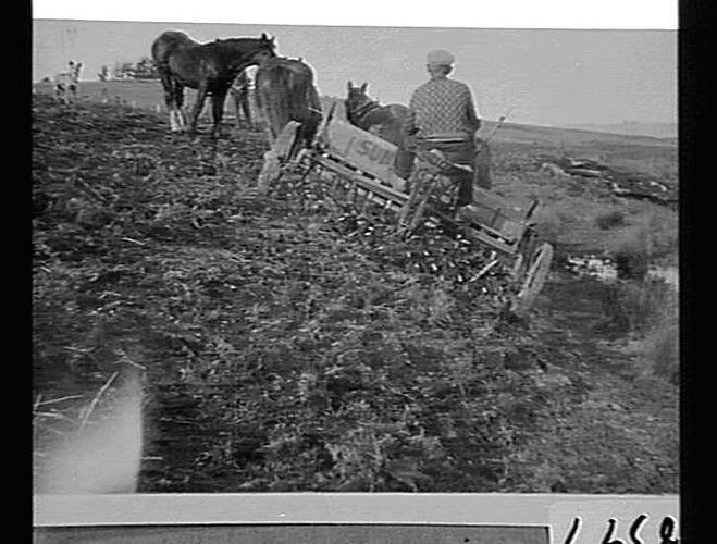 Photograph - H.V. McKay Massey Harris, Farm Equipment Manufacture ...