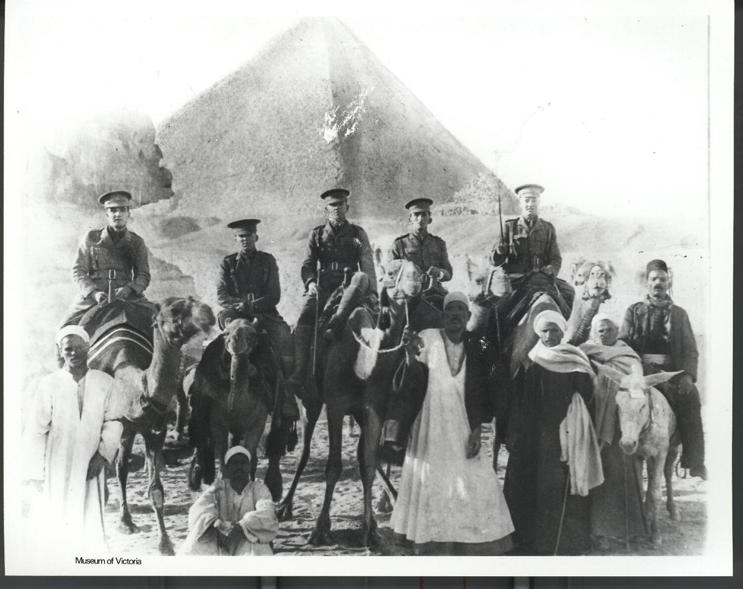 Photograph - AIF Officers on Camels, Egypt, World War I, 1915