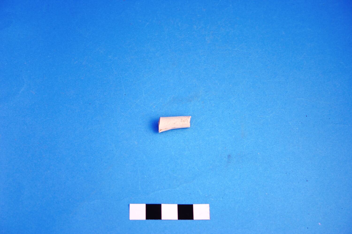 Clay Pipe - Ceramic, Thomas White and Co, Edinburgh, Scotland, 1823-1876