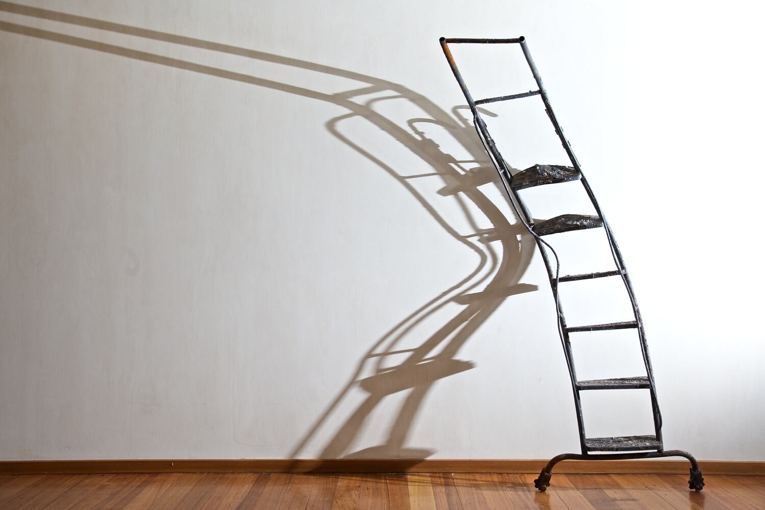 Digital Photograph - Ladder Affected by Bushfire, Healesville, Victoria ...