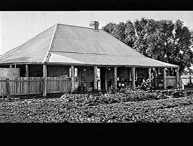 Negative - by Lilian L. Pitts, Merrigum, Victoria, circa 1910s