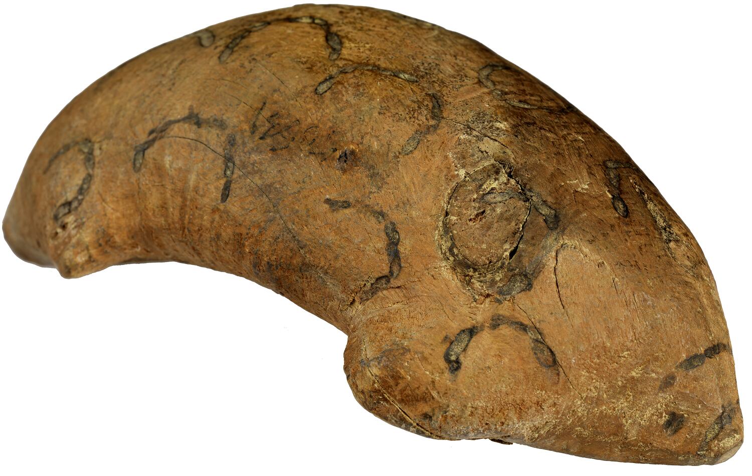 Itjaritjari | Animal figure. Wirangu. Ooldea, Desert Southeast, South ...