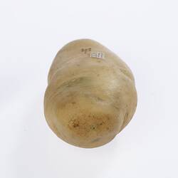 Potato Model - Fluke, Victoria, circa 1946