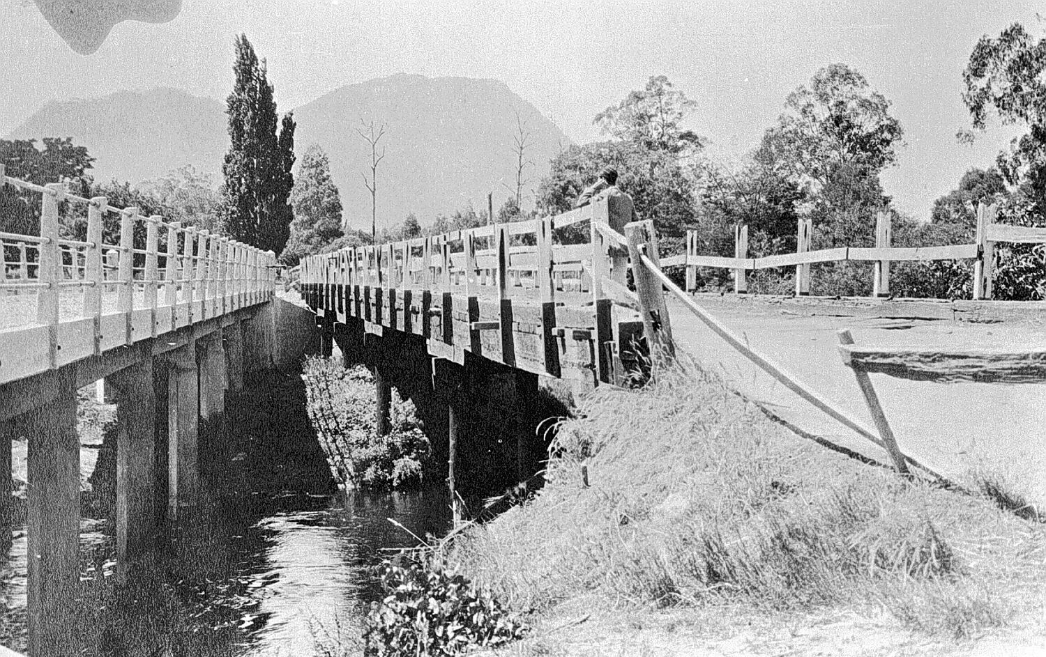 Negative - Man Standing on Taggerty Bridge Over Acheron River With ...