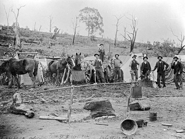 Negative - Mafeking, Grampians, Victoria, circa 1905