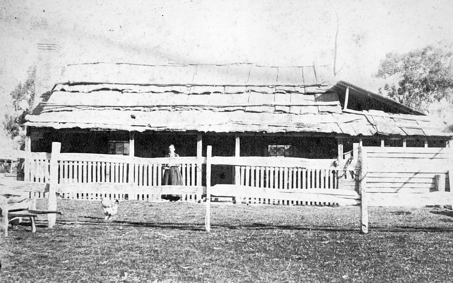Negative - Traralgon, Victoria, circa 1875