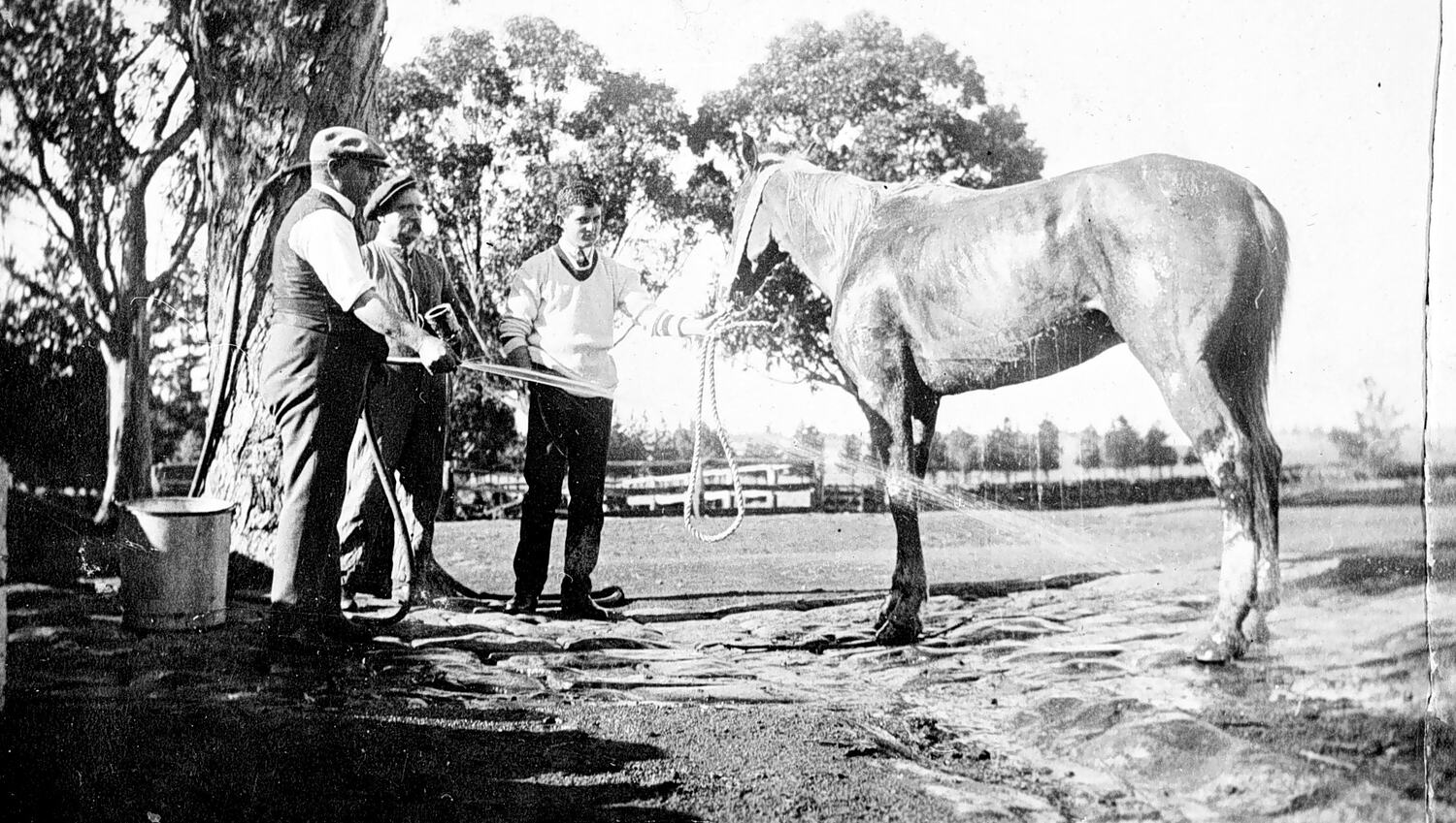 Negative - Skipton, Victoria, circa 1915