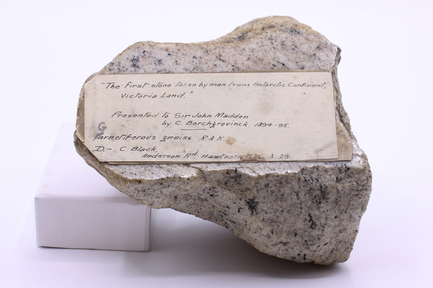 Feldspar Quartz Gneiss
