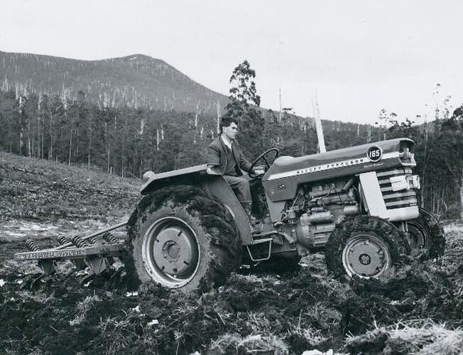 Photograph - Massey Ferguson, MF165 Tractor & Chisel Plough, 1965