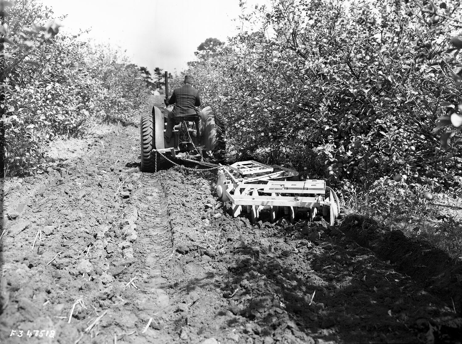 Negative - International Harvester, GL-15 Offset Disc Harrow & W-4 ...