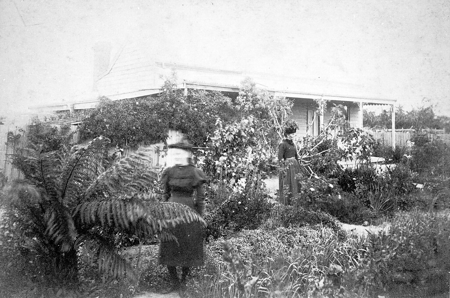 Negative - Traralgon, Victoria, 1898