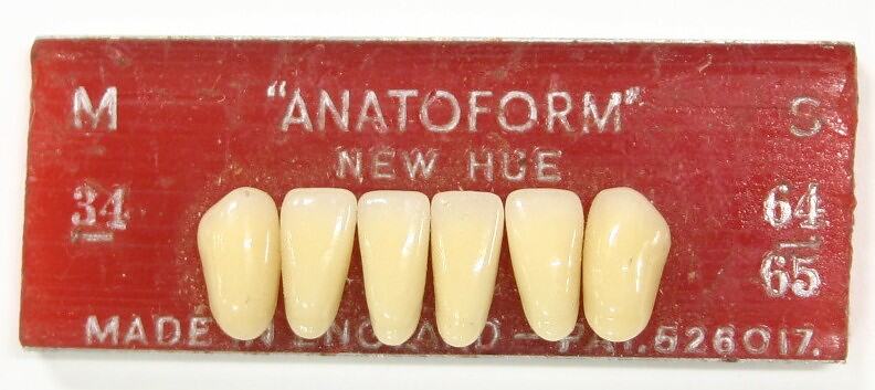 Artificial Teeth - Incisors, Anatoform, circa 1925