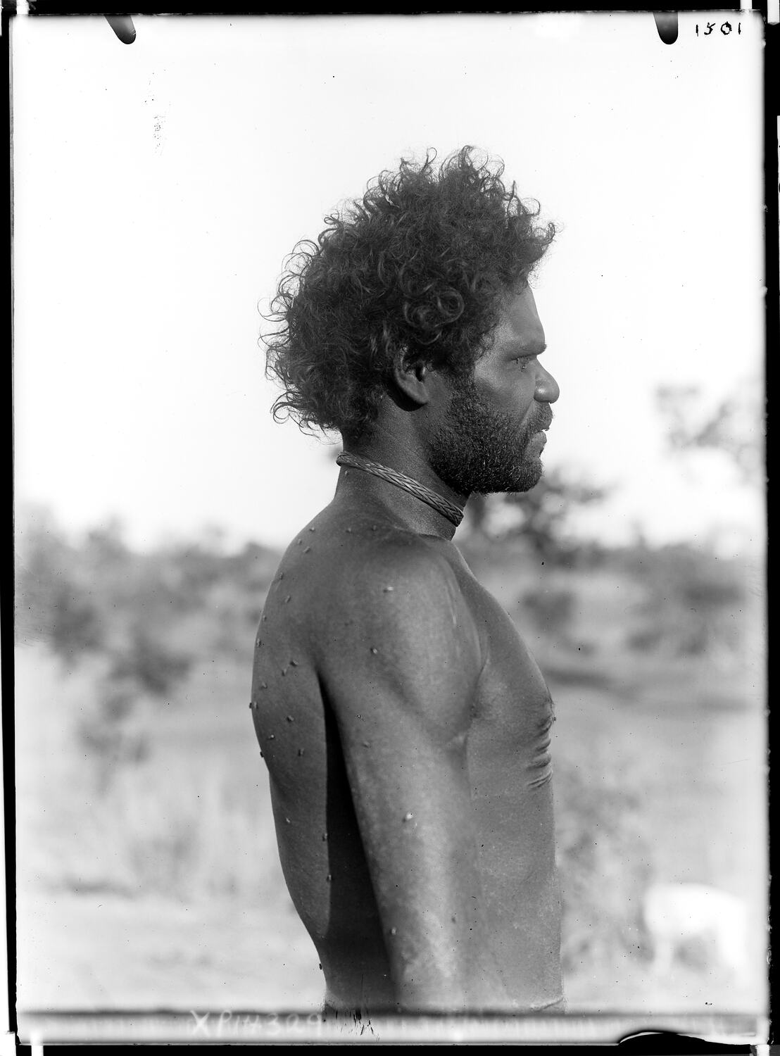 Glass plate. Yanyuwa. Borroloola, Gulf, Northern Territory, Australia ...