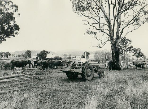 Photograph - Massey Ferguson, MF30 Tractor & Transporter, circa 1964