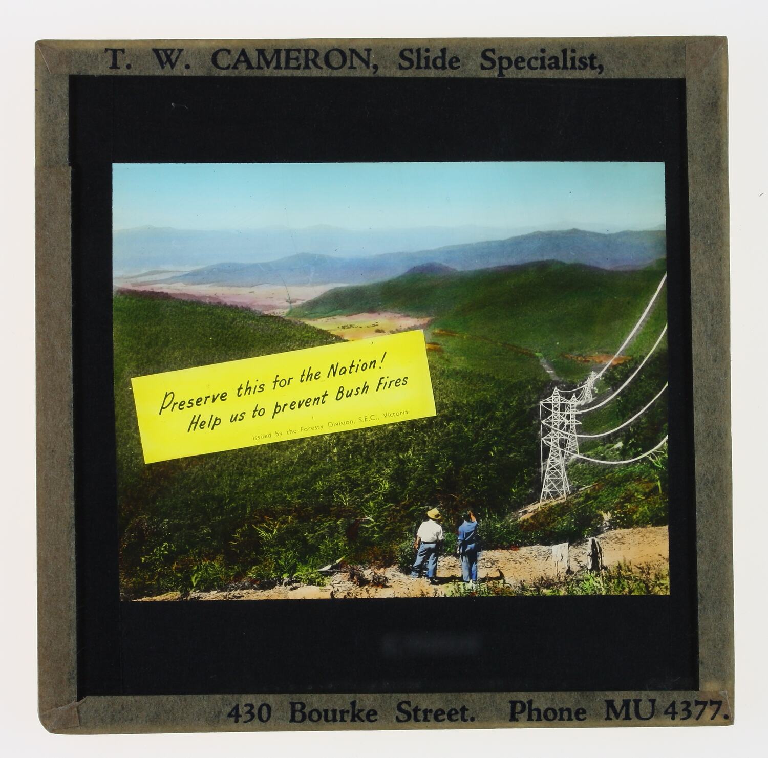 Glass Advertising Slide - Bushfire Awareness Series, State Electricity ...