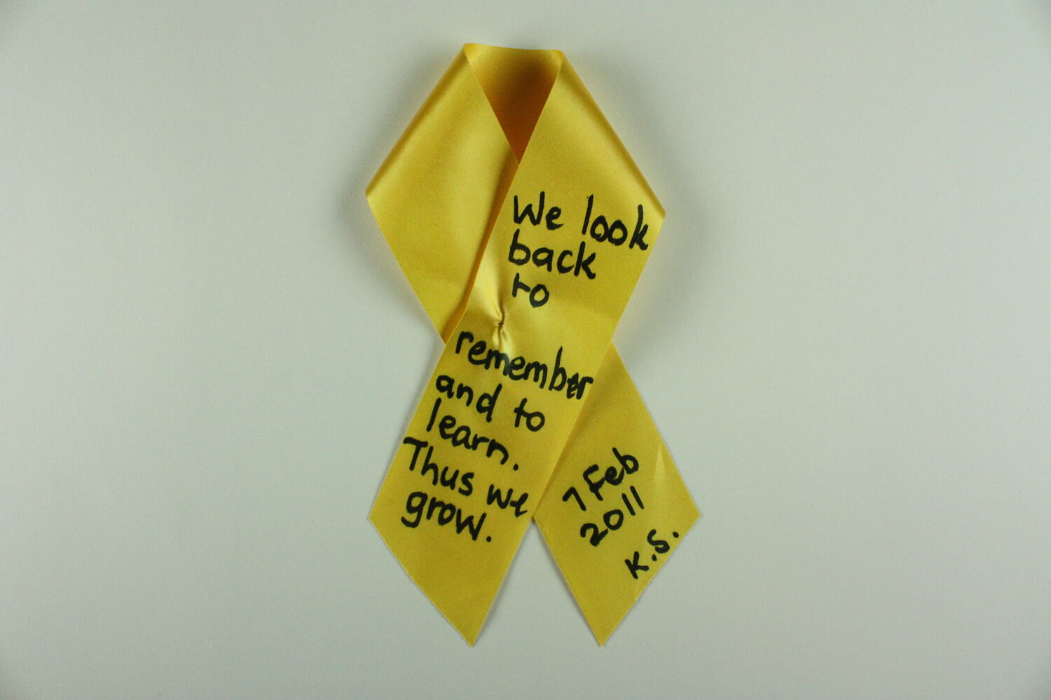 Ribbon - 'We Look Back To Remember And Learn', The Tree of Remembrance ...