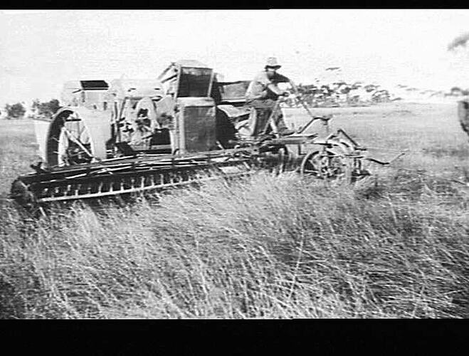 Photograph - H.V. McKay Massey Harris, Farm Equipment Manufacture ...