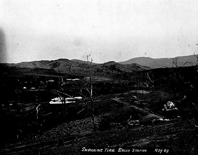 Negative - Ensay District, Victoria, Nov 1909