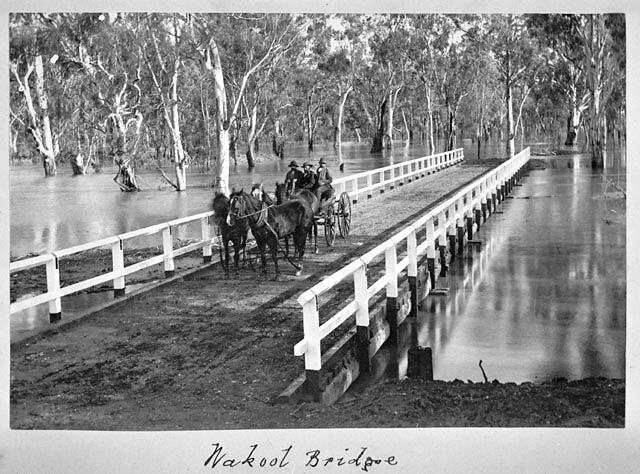 Photograph - Crossing Wakool Bridge, Surrounded by Floodwaters, by A.J ...