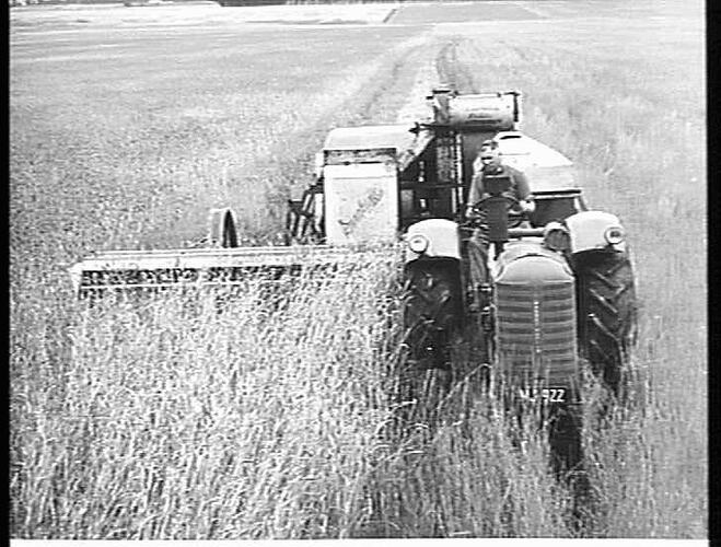 Photograph - H.V. McKay Massey Harris, Sunshine No.4 P.T.O. Header ...