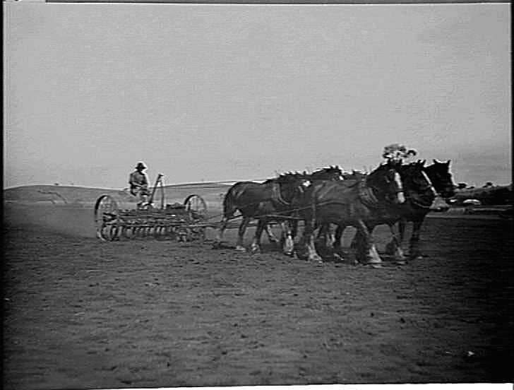 Photograph - H.V. McKay Pty Ltd, Farm Equipment Manufacture & Field ...
