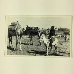 Postcard - Scene at Sheikh Othman, Aden, 1967