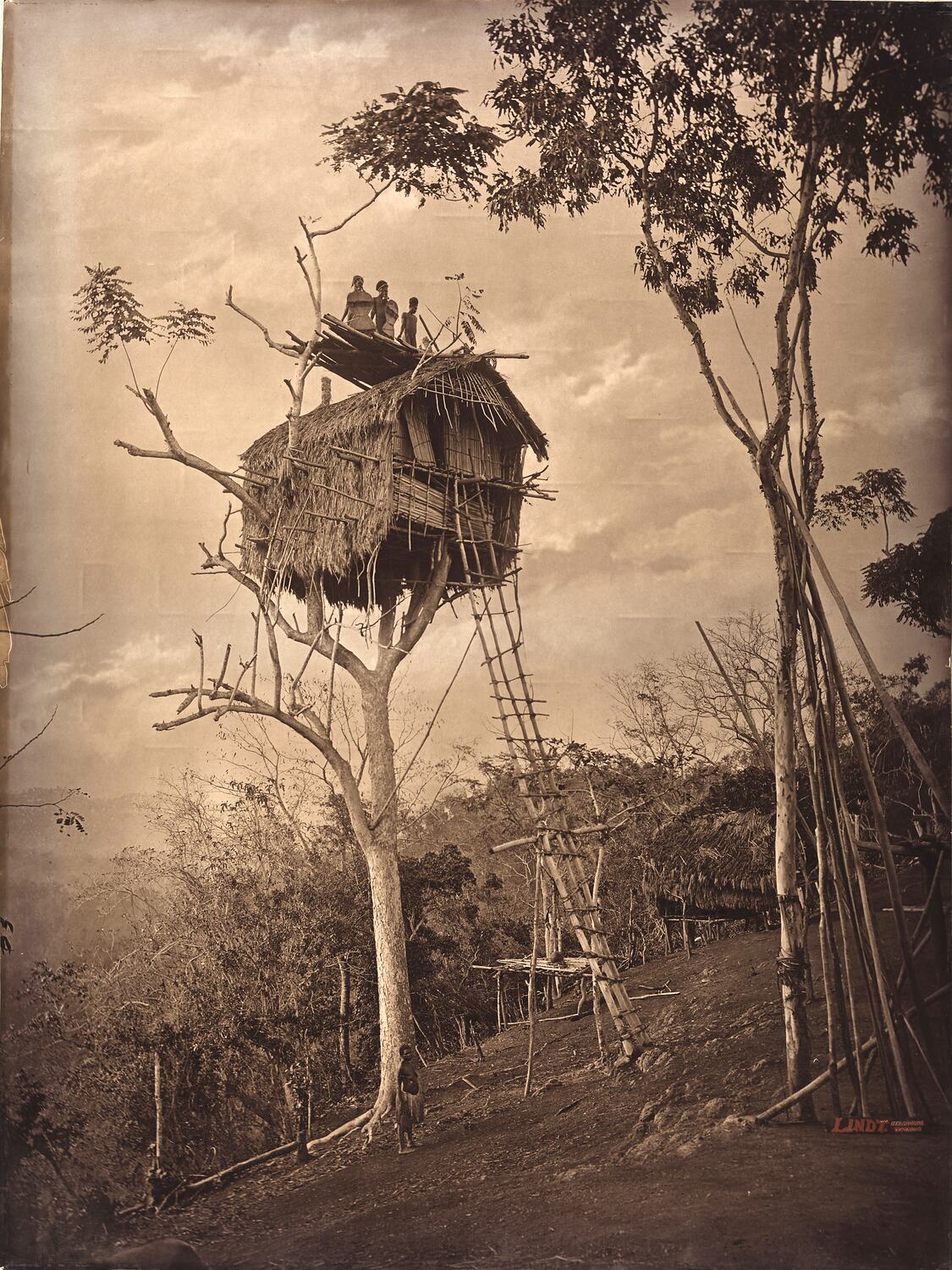Photograph. Koiari. c.1880