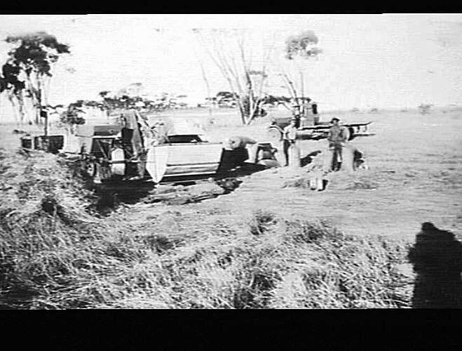 Photograph - H.V. McKay Massey Harris, Farm Equipment Manufacture ...