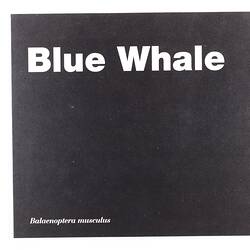 Exhibition Label - Blue Whale, Museum of Victoria, Melbourne, circa 1990